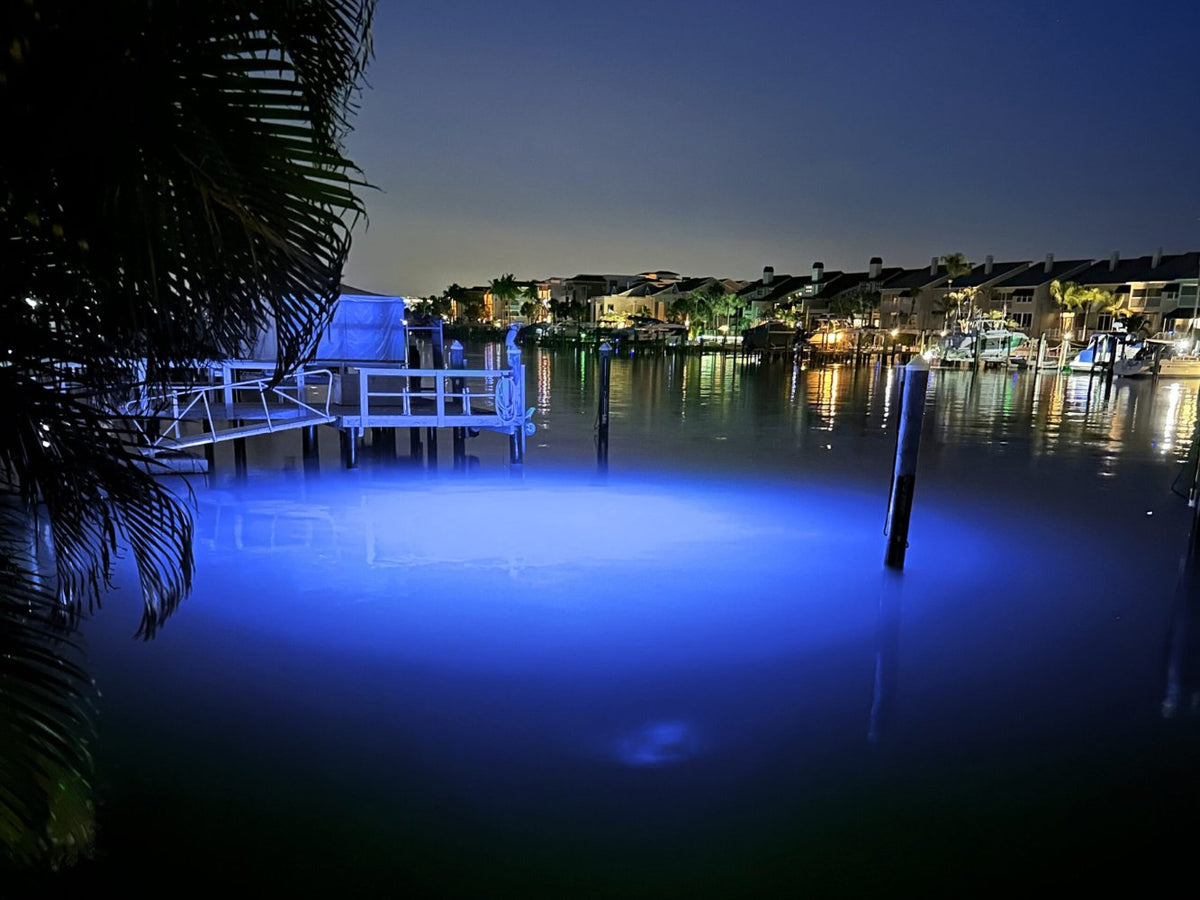 Ready Bait Dock Livewell (Equipped With Best-In-Class Pump and Drain S ...